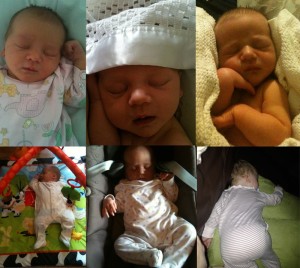 Dear Bob (What I Would Like For Mothers Day)