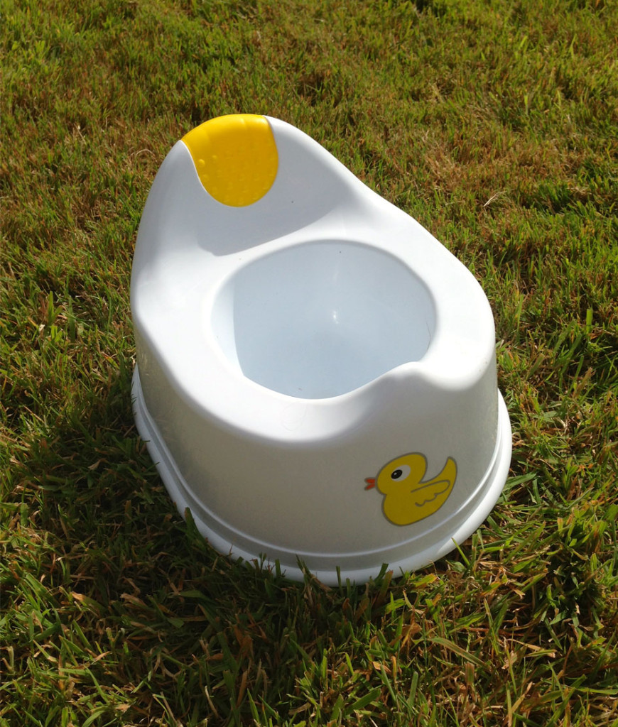 The Potty Diaries – Day 2