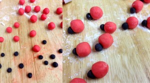 Ladybirds & Strawberry Flowers